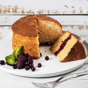 Ponqué Tradicional Negro sin Decorar | Yanuba